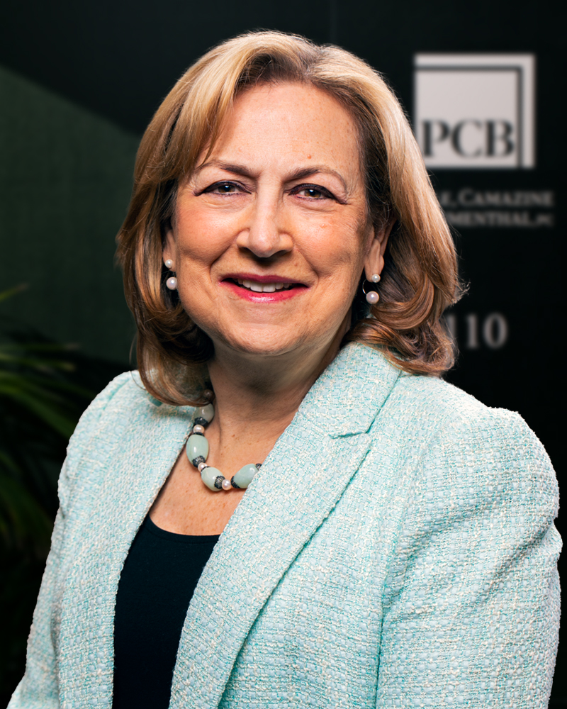 Attorney Alisse C. Camazine, St. Louis Family Law Attorney